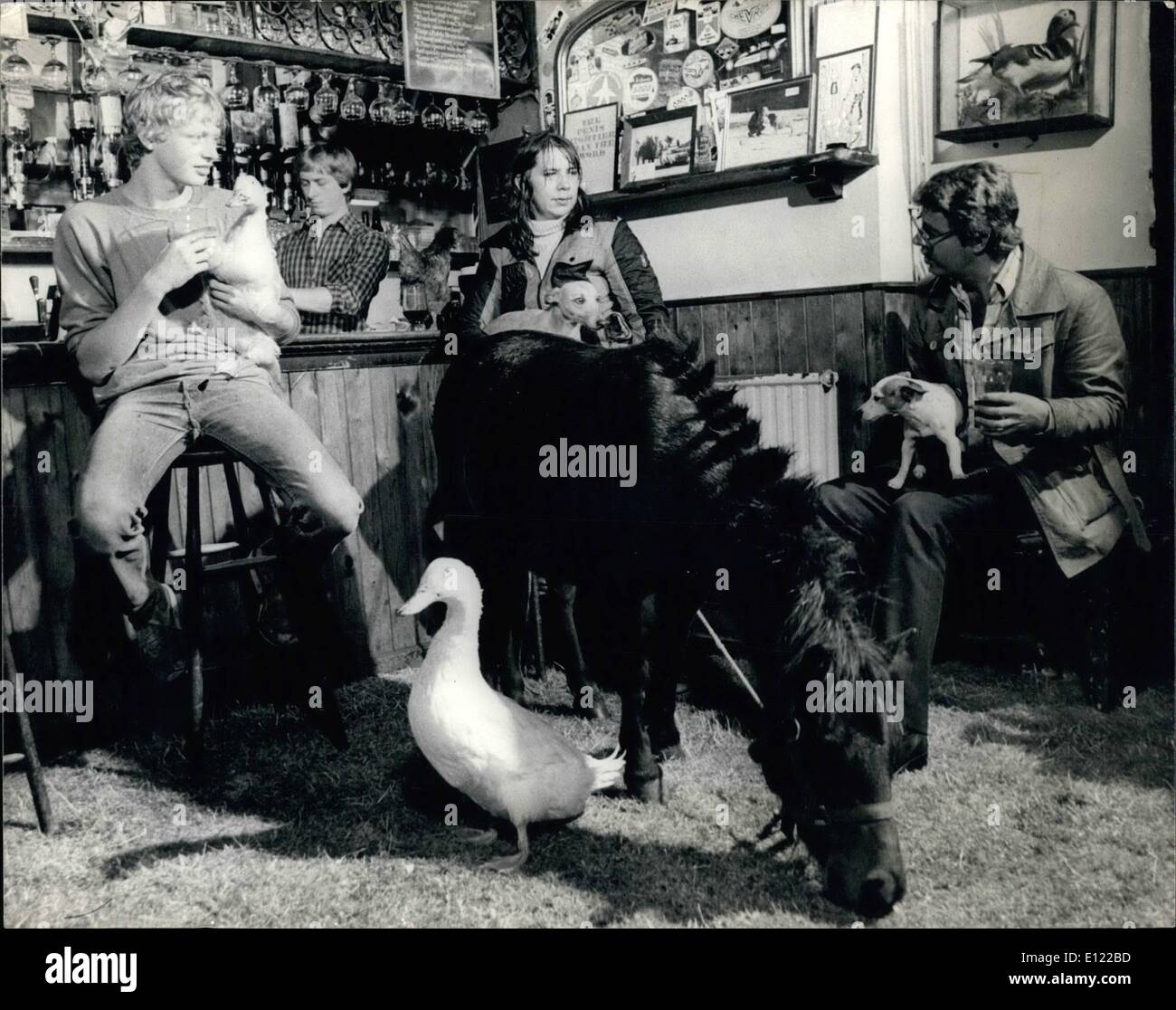 May 05, 1983 - Pet's Pub: The Animals in the South of England are ...
