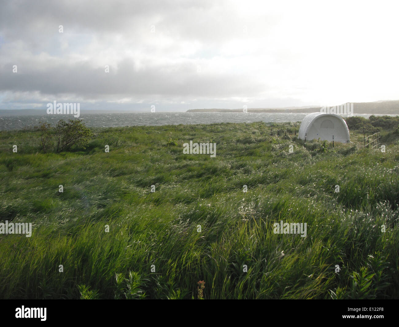 Ugashik hi-res stock photography and images - Alamy