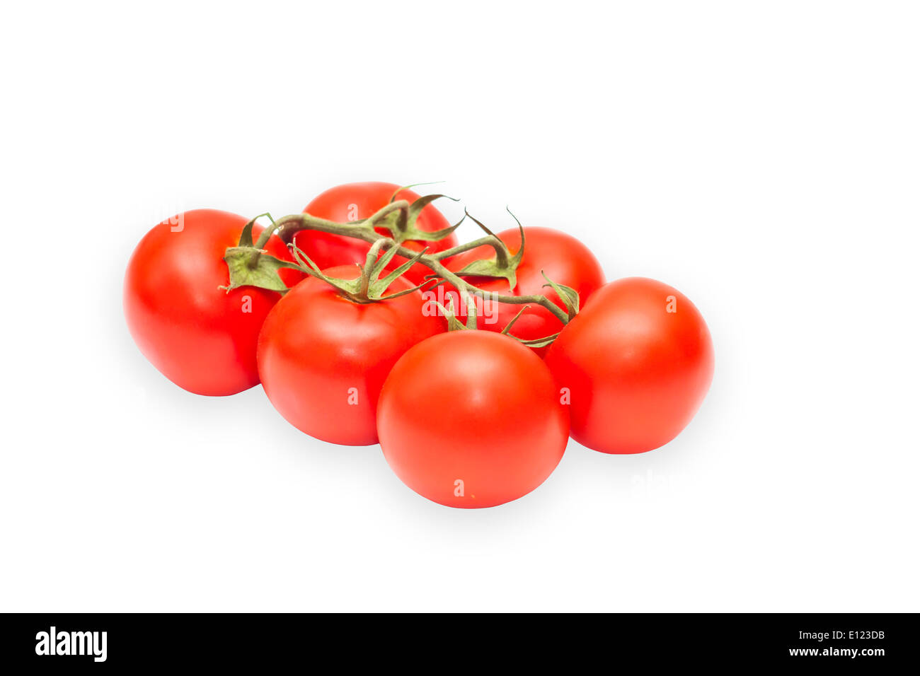 Tomato branch hi-res stock photography and images - Alamy