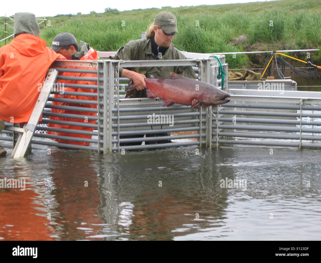 Trap box hi-res stock photography and images - Alamy