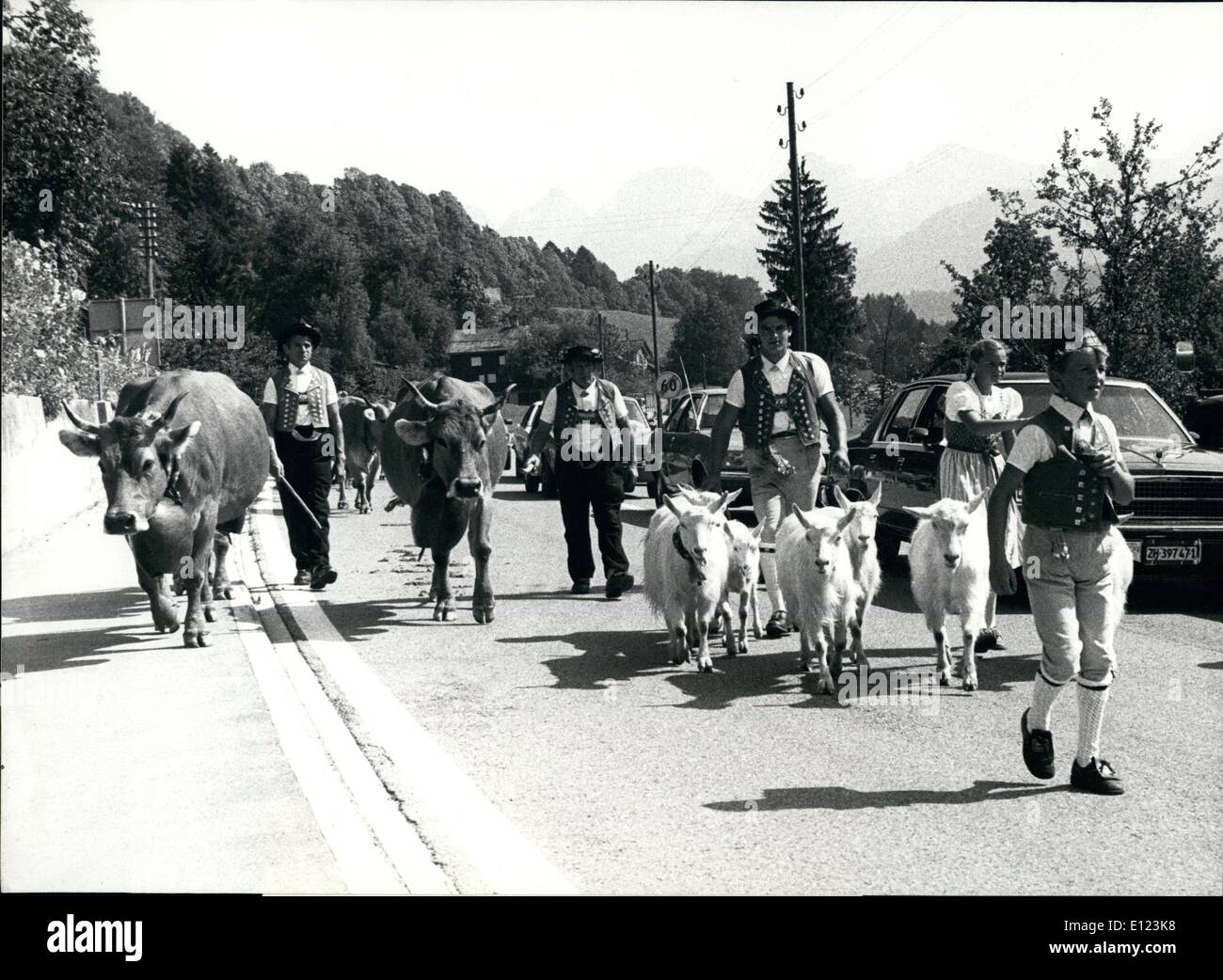Feb. 02, 1985 - Leaving the Alps A typical sign of the summer going ...