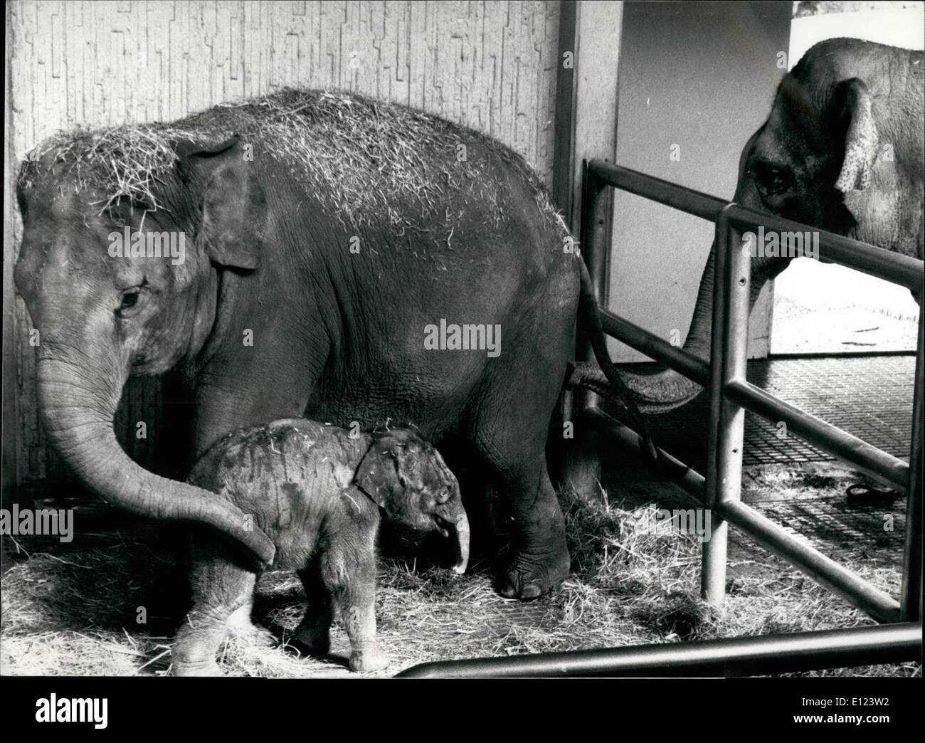 9 july 1984 hi-res stock photography and images - Alamy