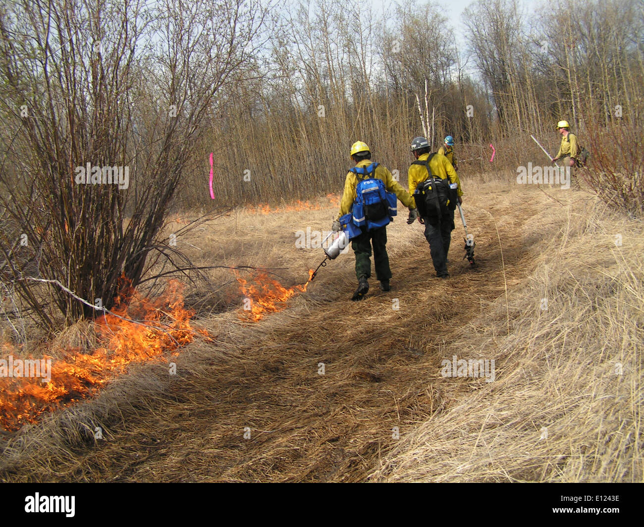 Fire297 was a wildfire event in the region, affecting local ecosystems ...