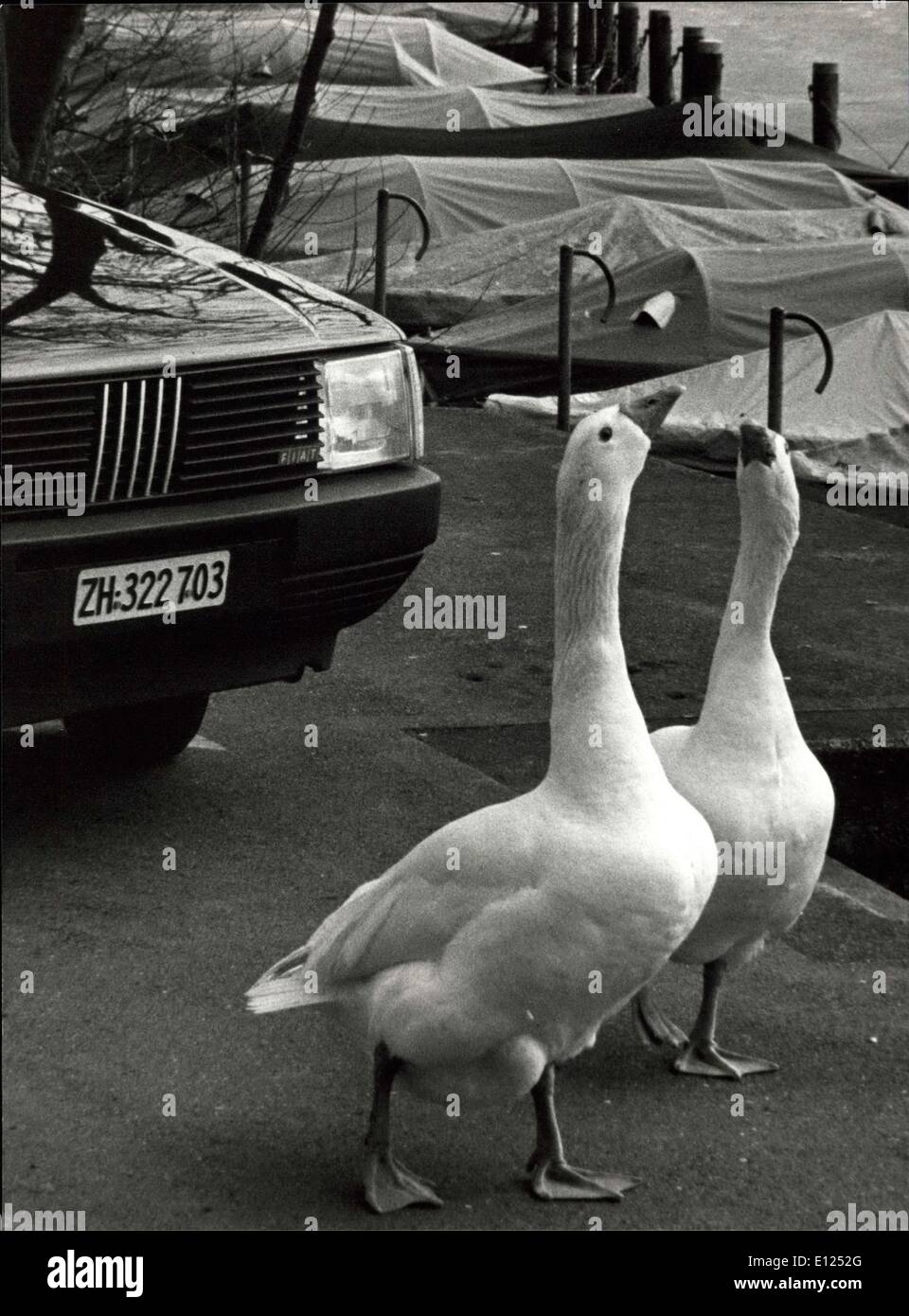 Why birds hi-res stock photography and images - Alamy