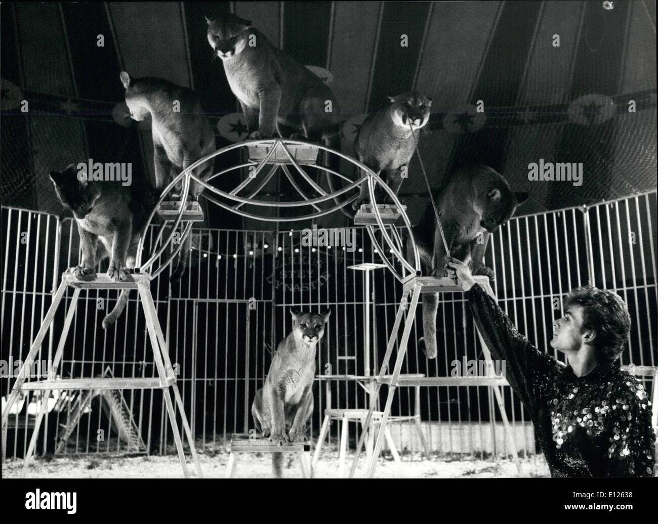 Mar. 03, 1989 - Premiere Of Novotny's Puma-Training: Tamer Rudolf ...