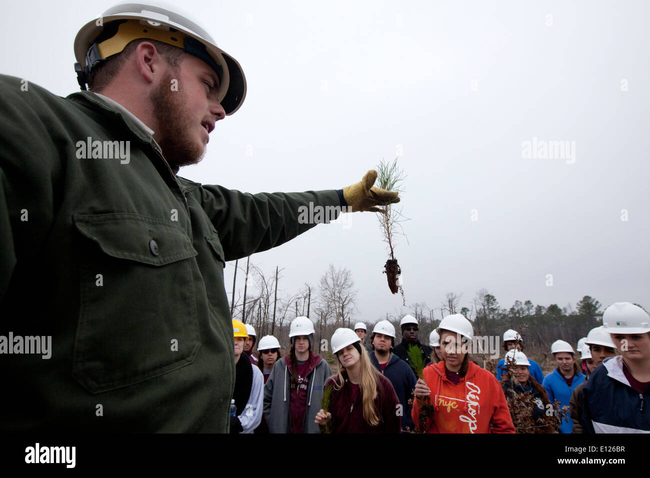 Texas Parks and Wildlife ranger shows loblolly pine seedling to ...