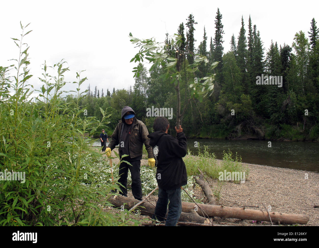 A fish drying rack is constructed for preserving fish, a technique ...