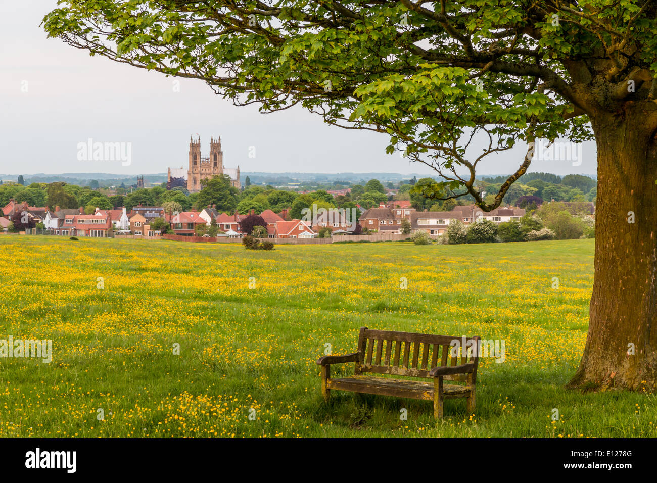 break by the bench Stock Photo - Alamy