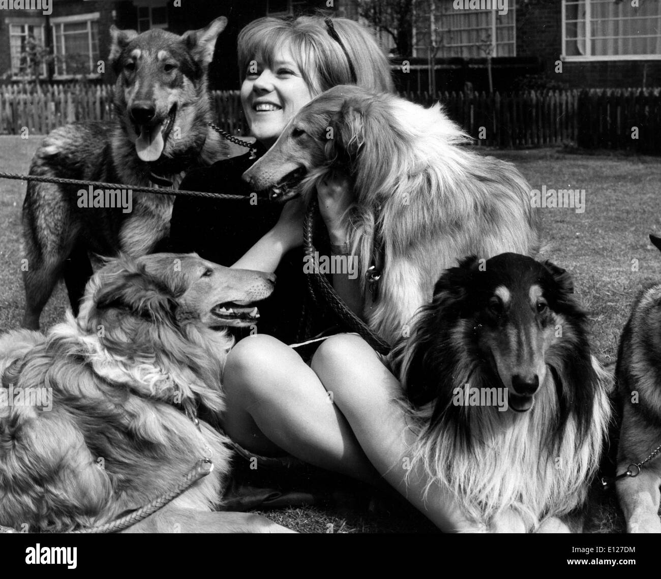 Apr 01, 2009 - London, England, United Kingdom - Julia Foster Stock ...