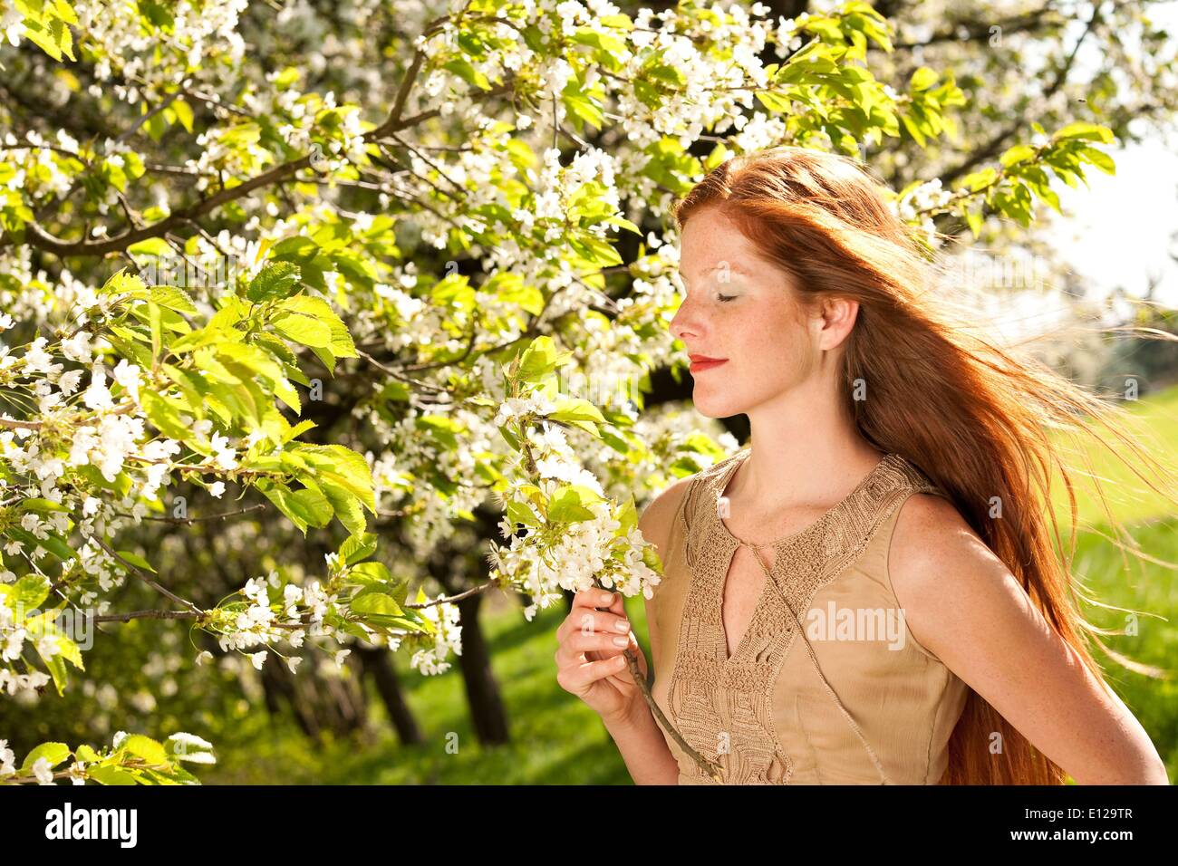 Apr. 25, 2009 - April 25, 2009 - Beautiful young woman smelling cherry ...