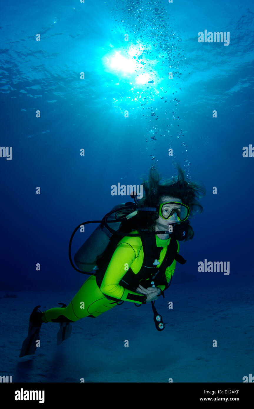 Female diver in blue water Stock Photo - Alamy