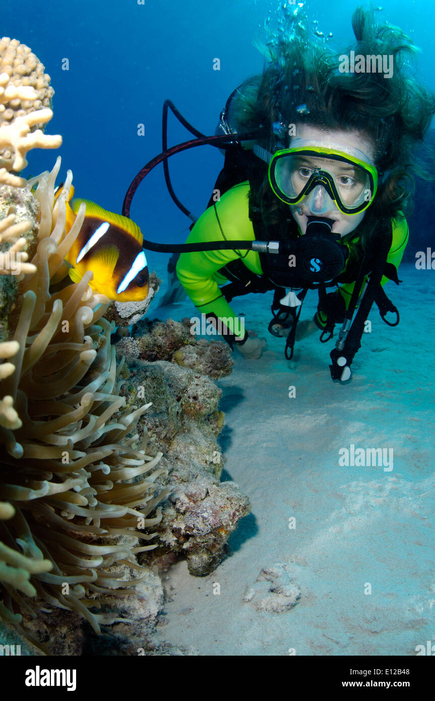 Female diver on a reef Stock Photo - Alamy