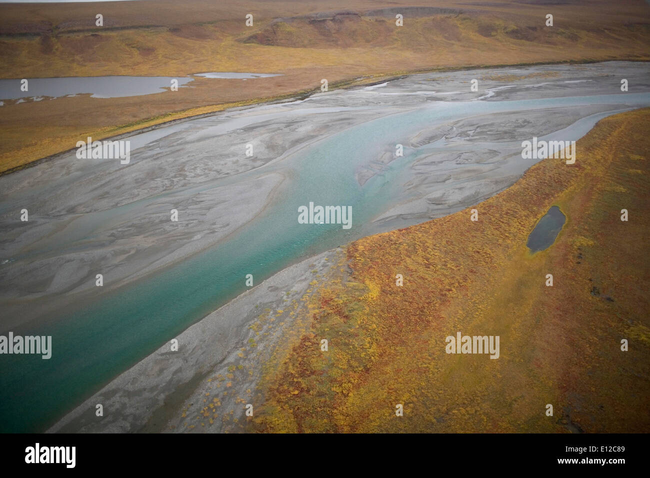 The Arctic National Wildlife Refuge (ANWR) in Alaska is one of the most ...