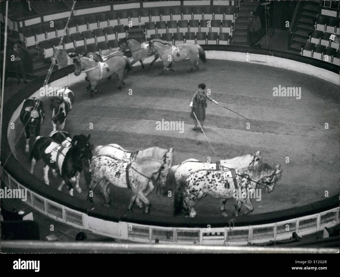 Circus rider hi-res stock photography and images - Alamy