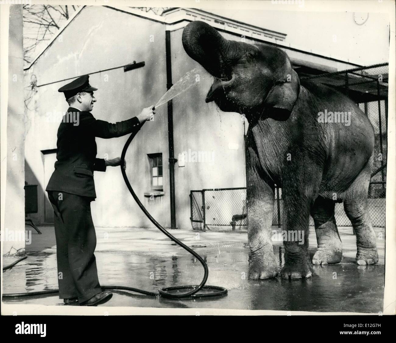 She loves a bath does dumbo fun at london zoo hi-res stock photography ...