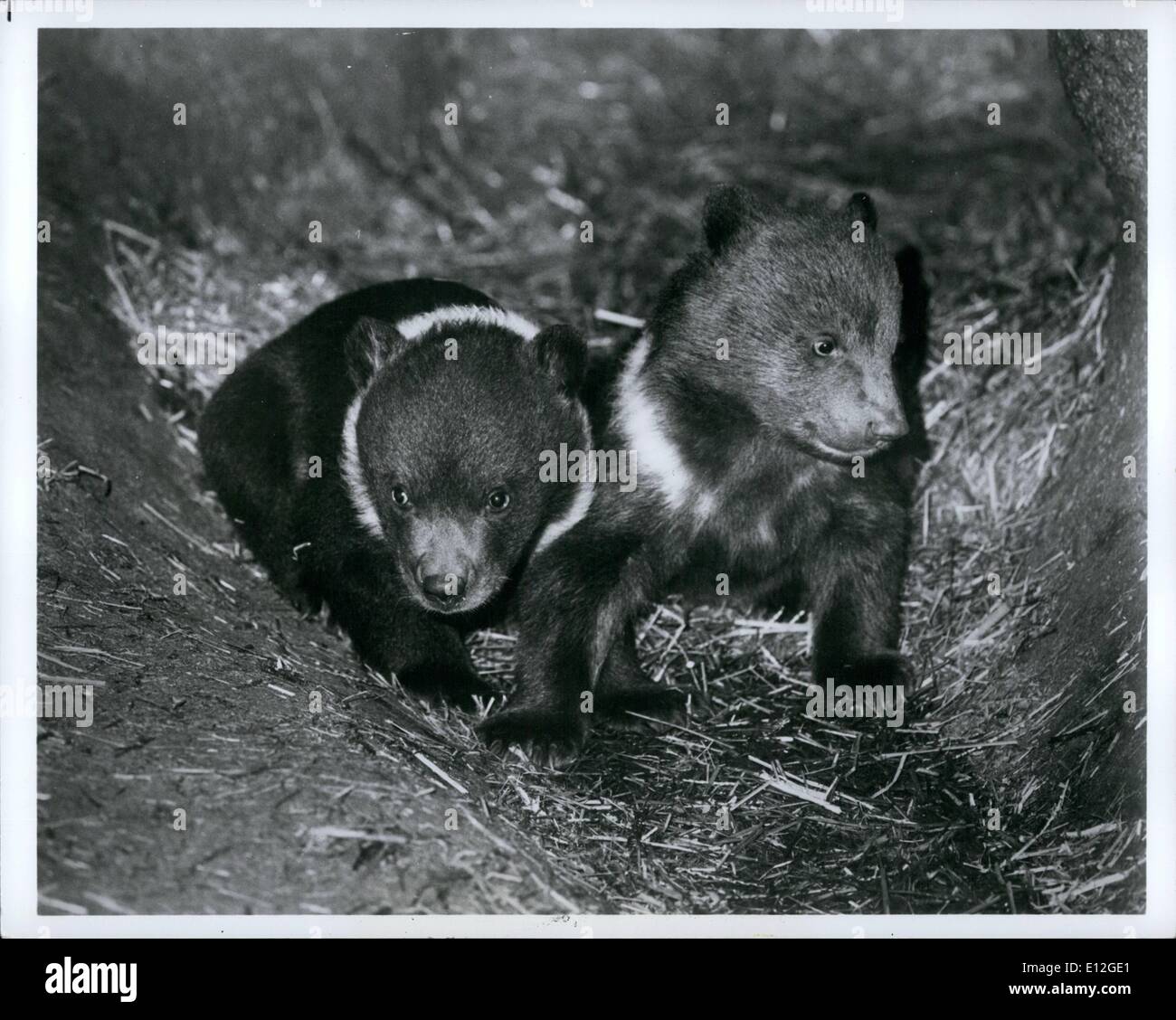 Private zoos hi-res stock photography and images - Alamy