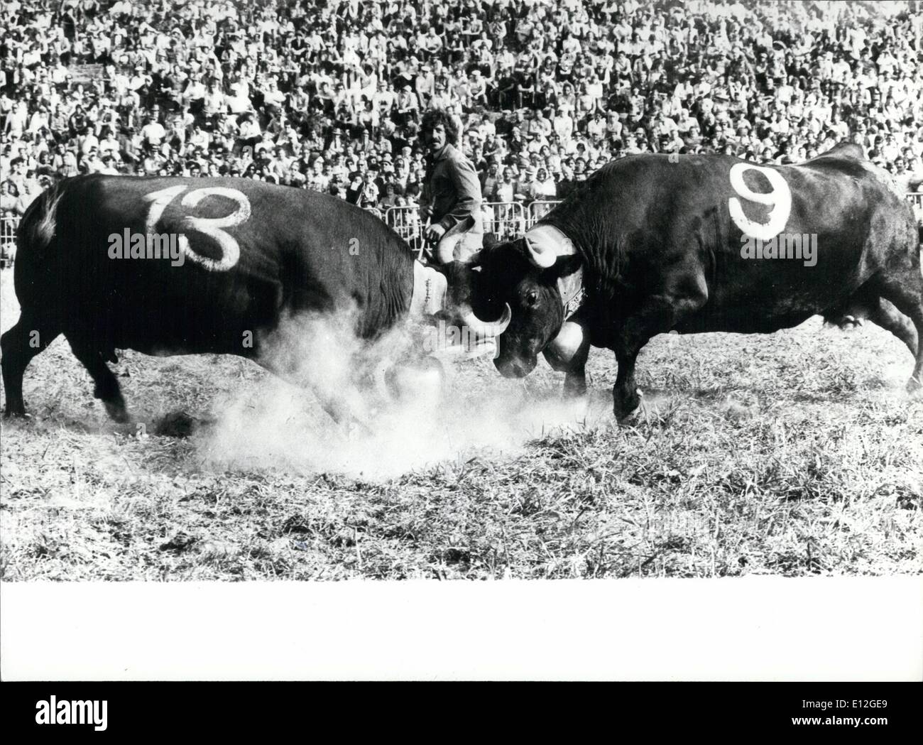 Jan. 10, 2012 - Fighting for the crown. Cow-fights for the Ã¢â‚¬ËœCrown ...