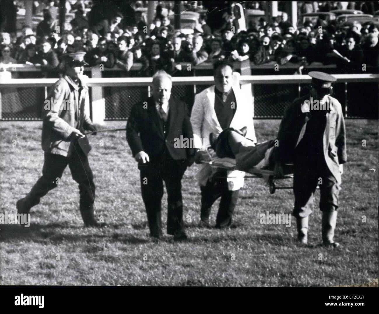 Injured horse hi-res stock photography and images - Alamy