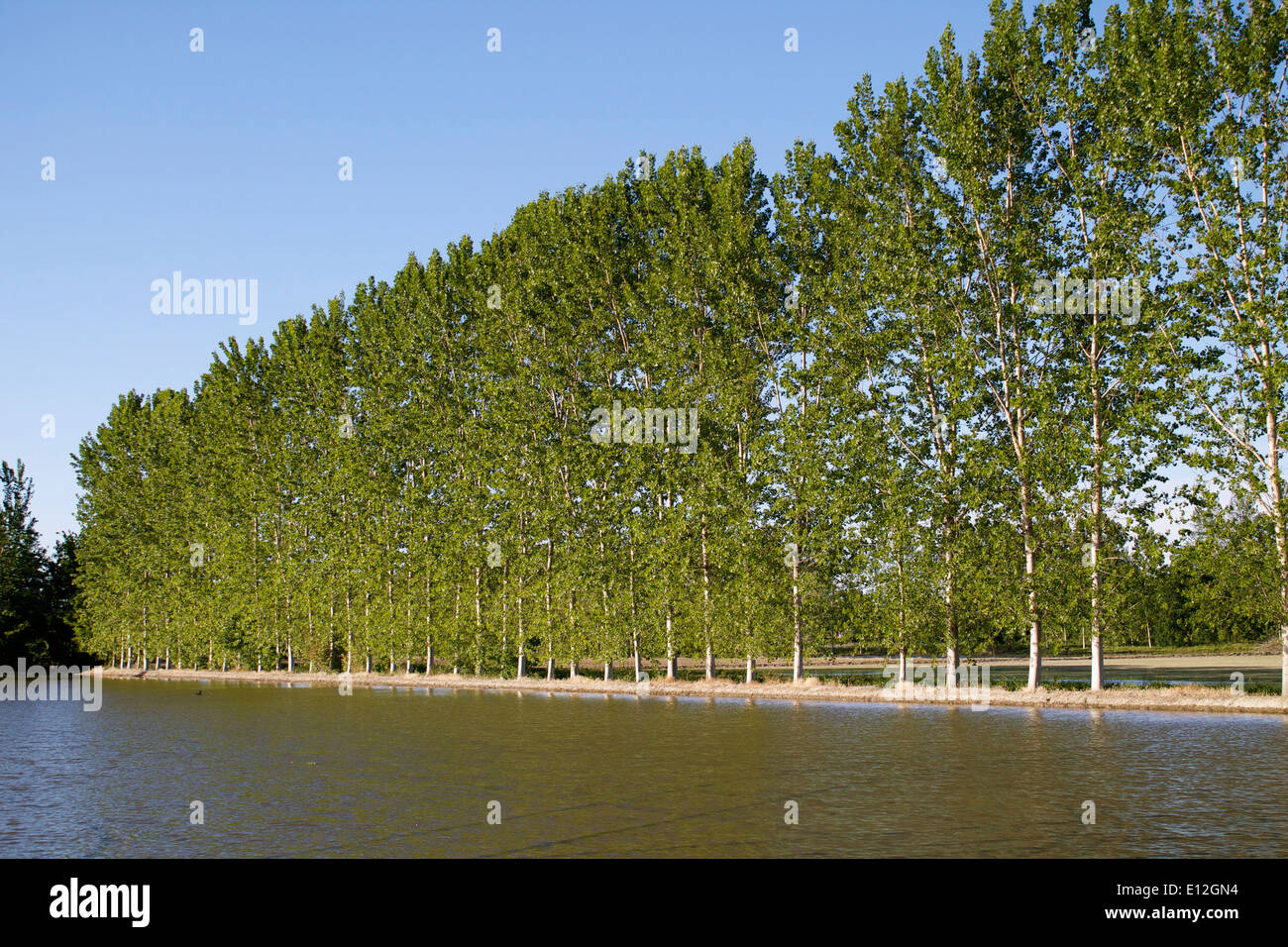 The paddy line hi-res stock photography and images - Alamy