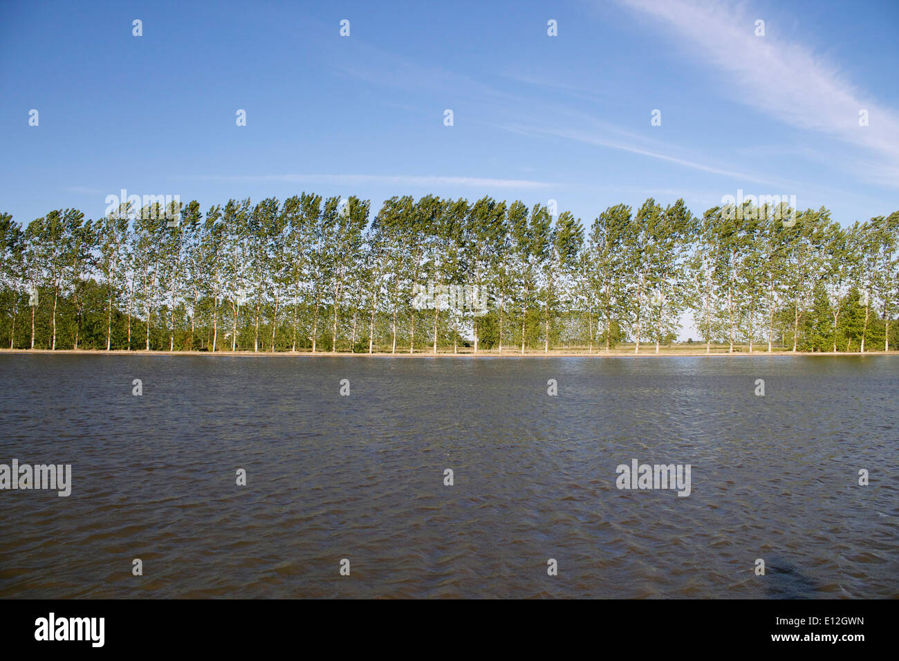 The Paddy Line High Resolution Stock Photography and Images - Alamy