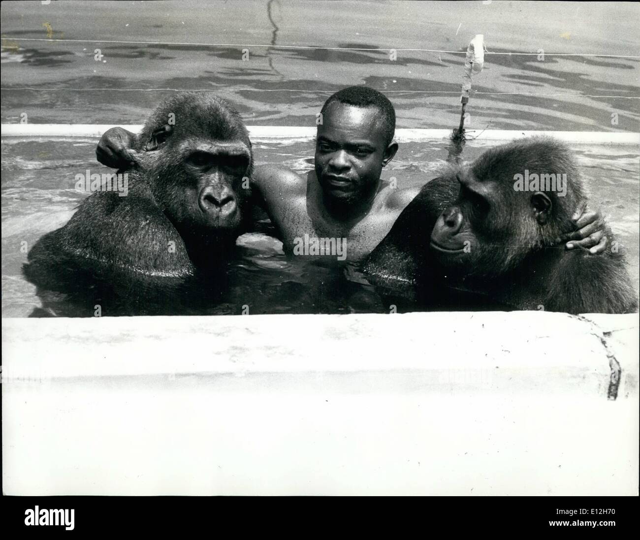 Bili Ape Lion Killer