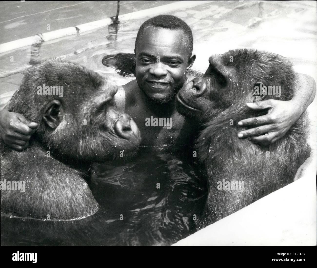 Apes 2012 hi-res stock photography and images - Alamy