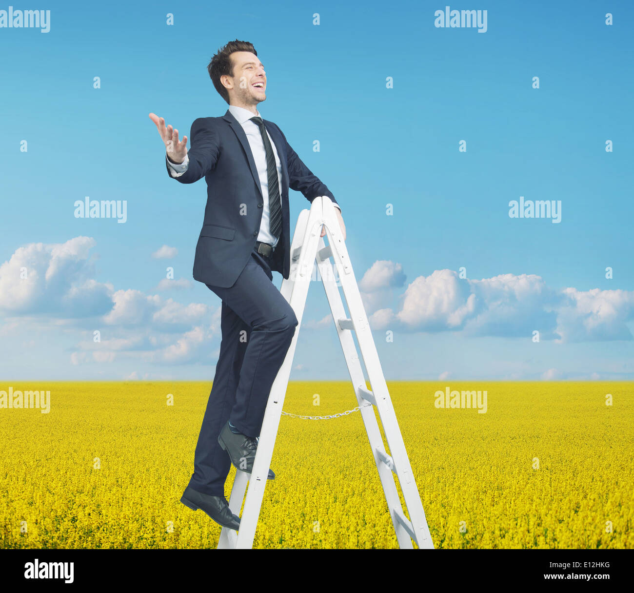 Elegant businessman standing on the ladder Stock Photo - Alamy