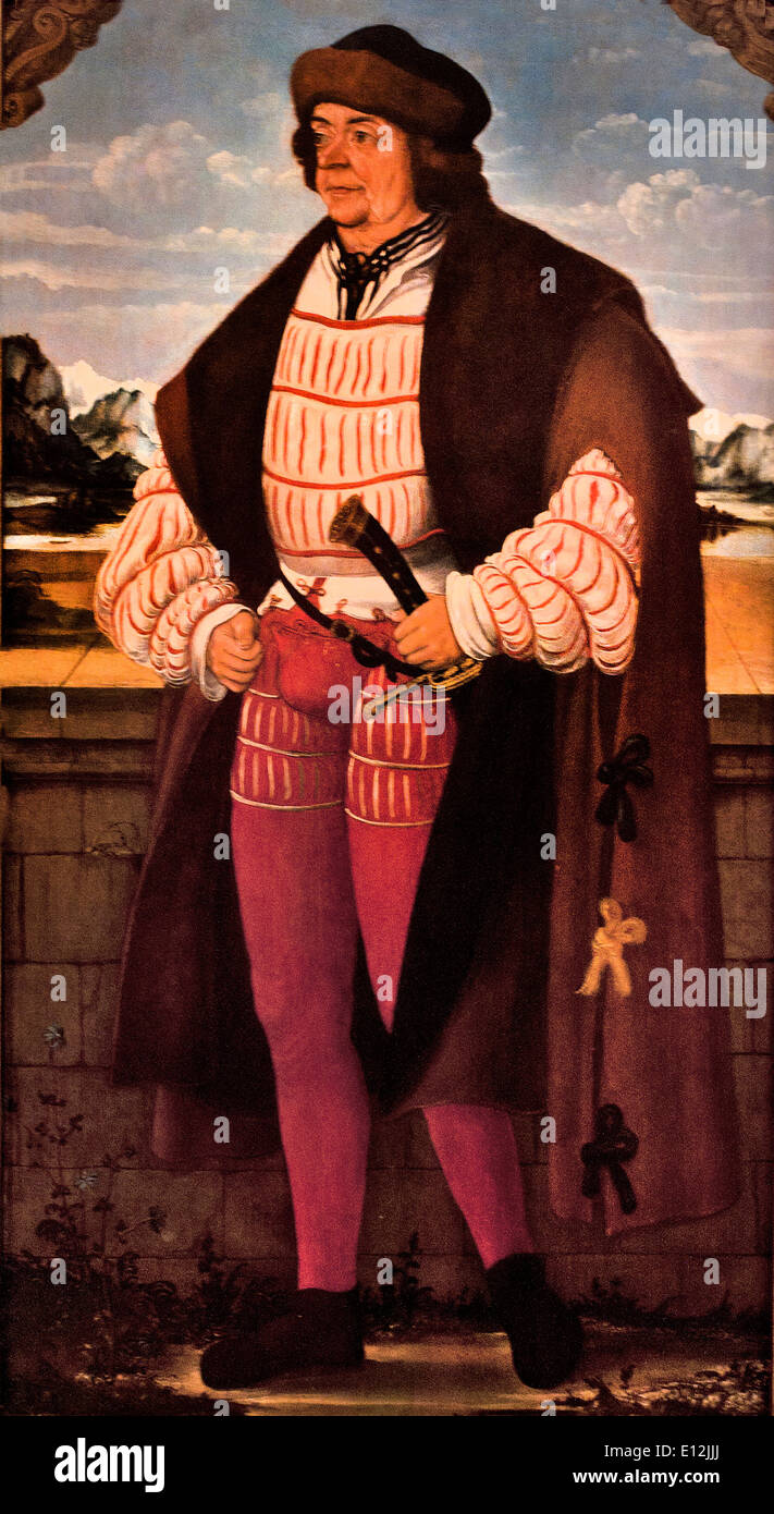 German jester hi-res stock photography and images - Alamy