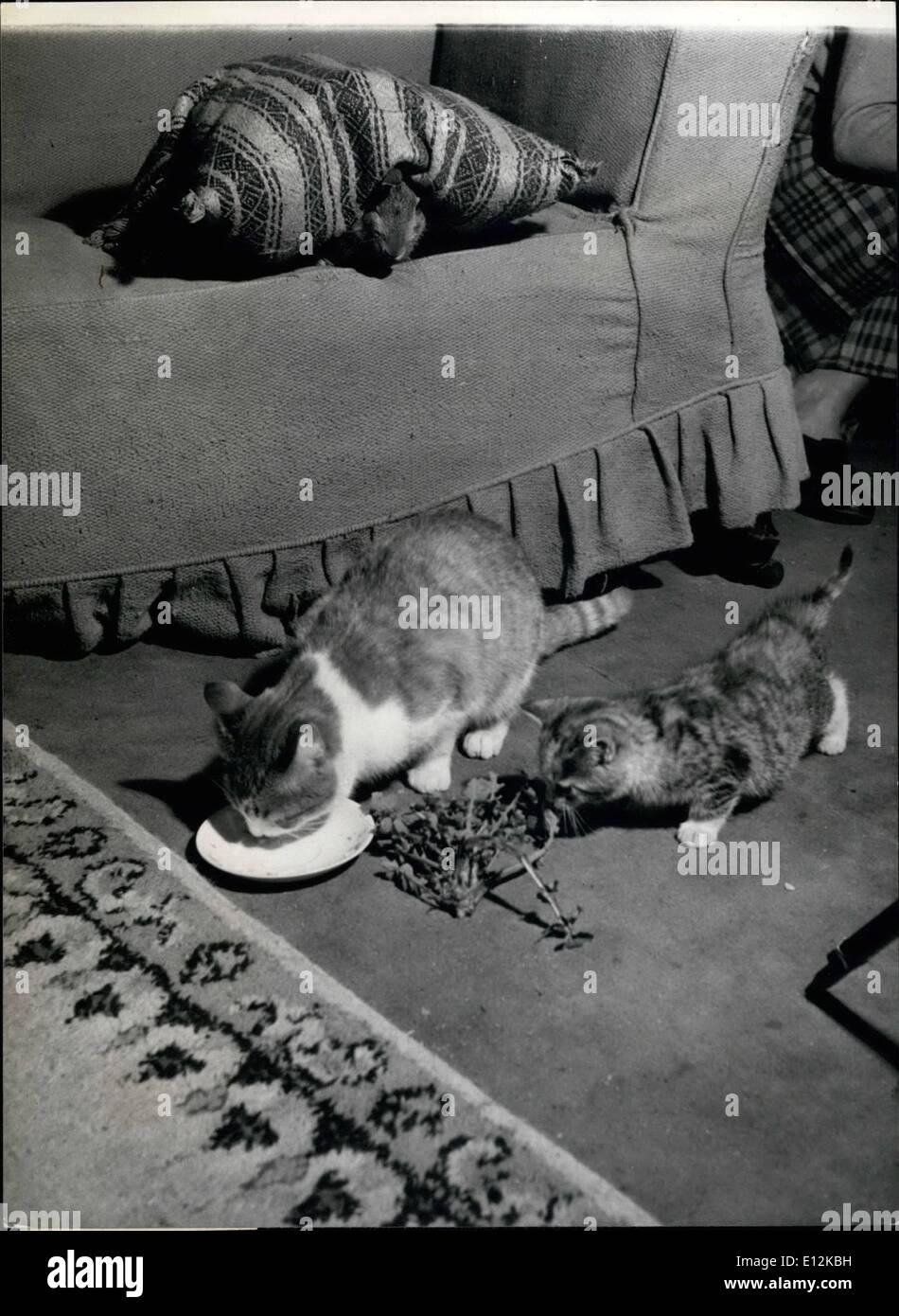 Witness to act hi-res stock photography and images - Alamy