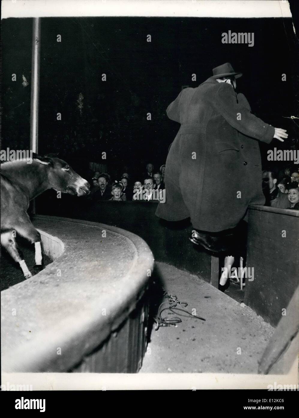 But when theres bad tempered mule right behind you hi-res stock ...