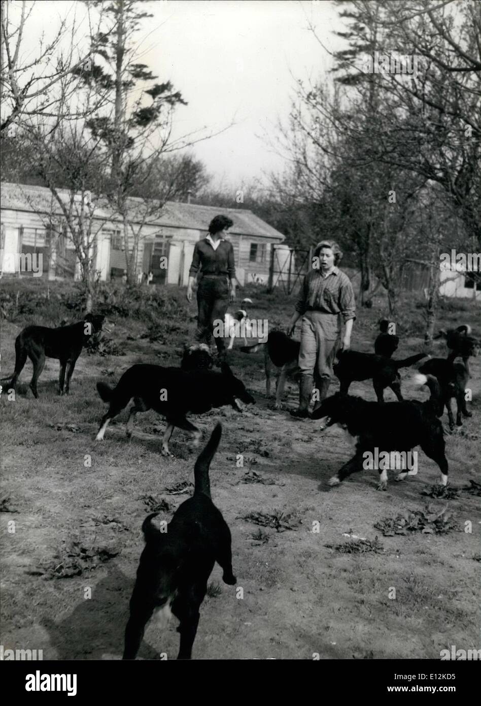 Wigger hi-res stock photography and images - Alamy