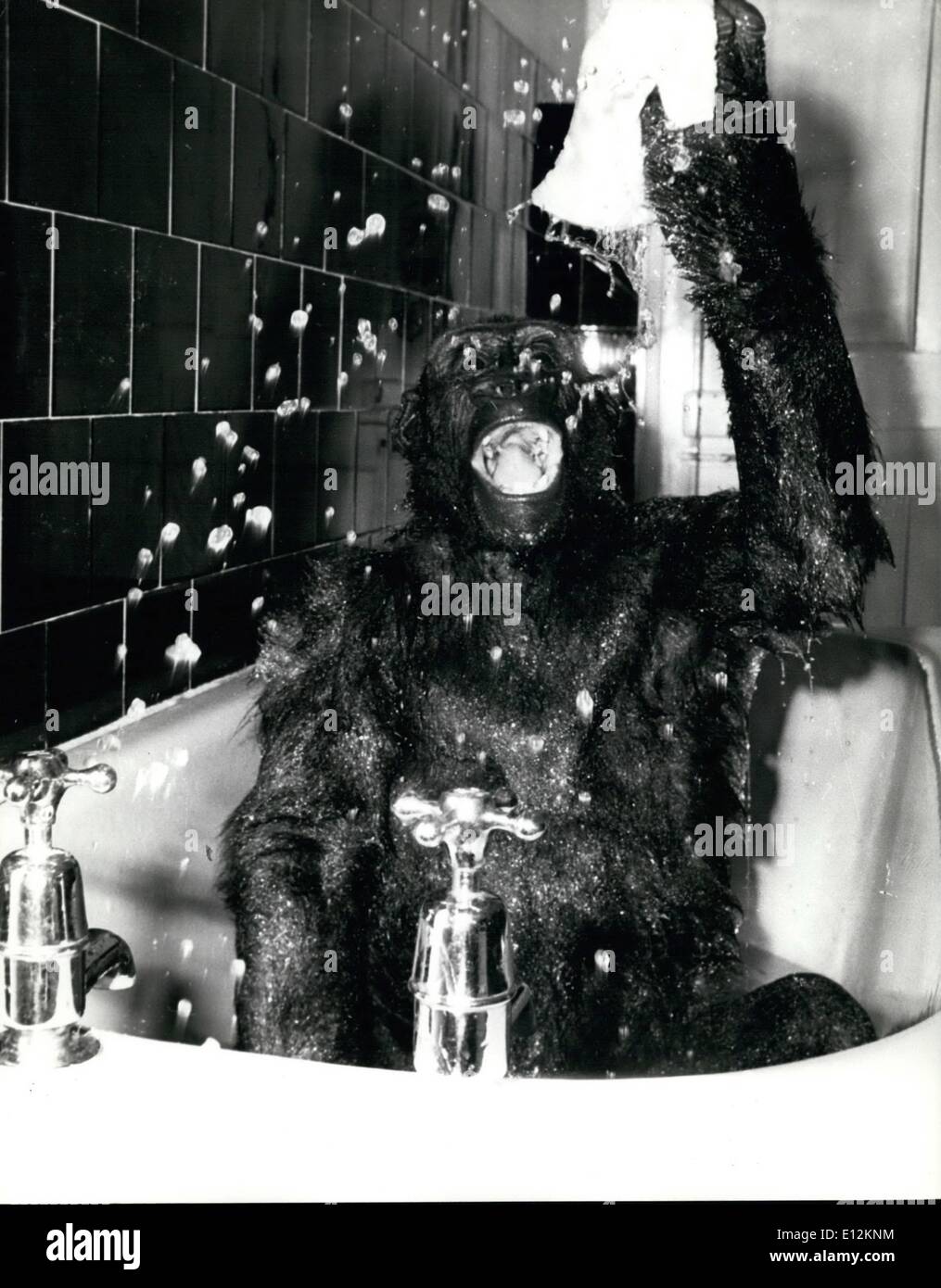 Have a bath hi-res stock photography and images - Alamy