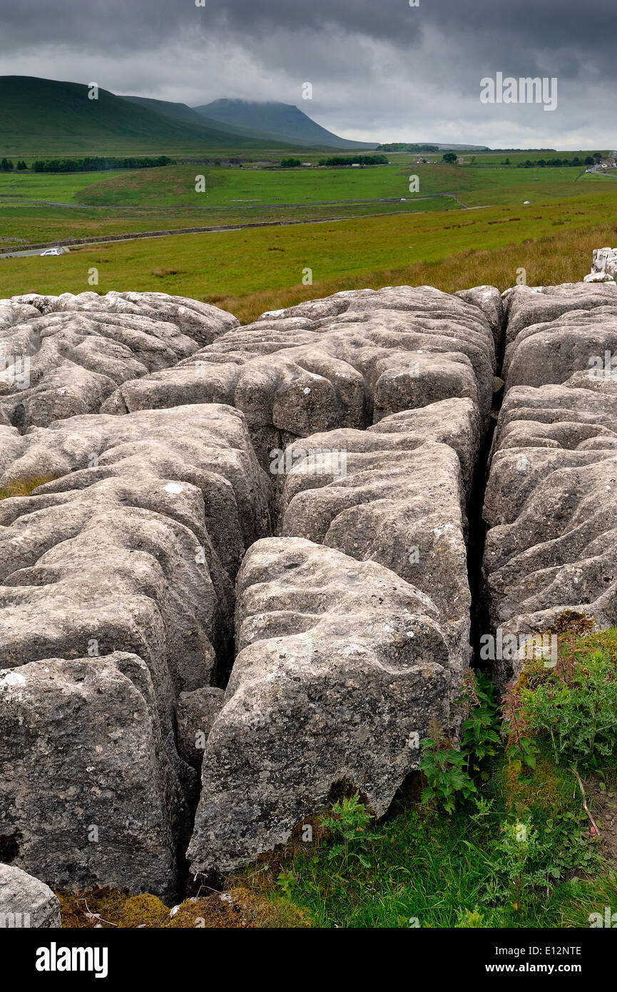 Limestone Pavement to Ingleborough Stock Photo - Alamy