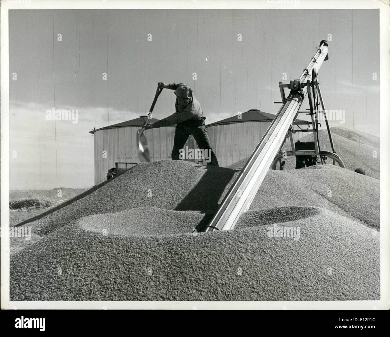 Grain loader hi-res stock photography and images - Alamy