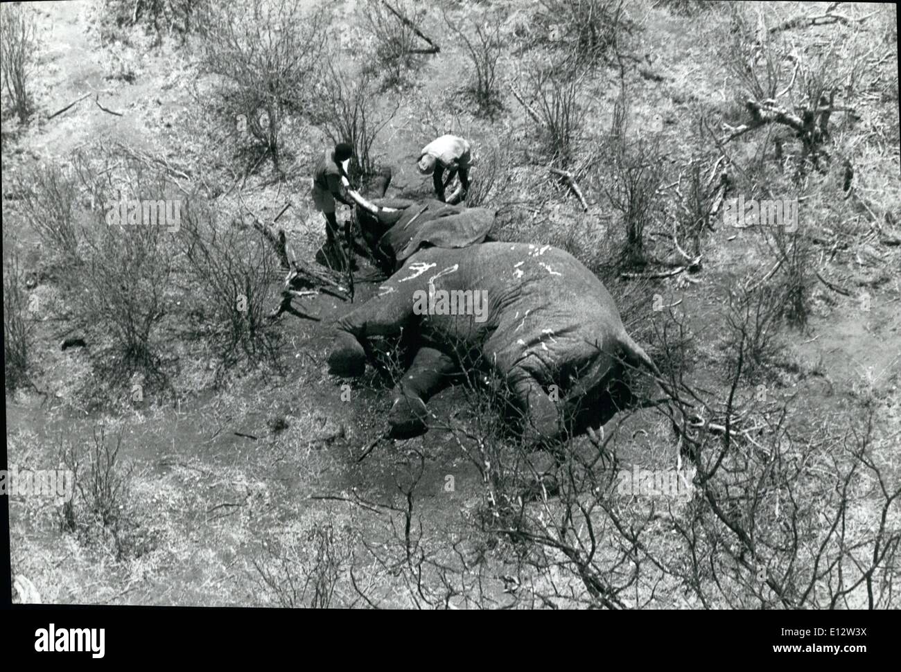 Dead elephant helicopter hi-res stock photography and images - Alamy