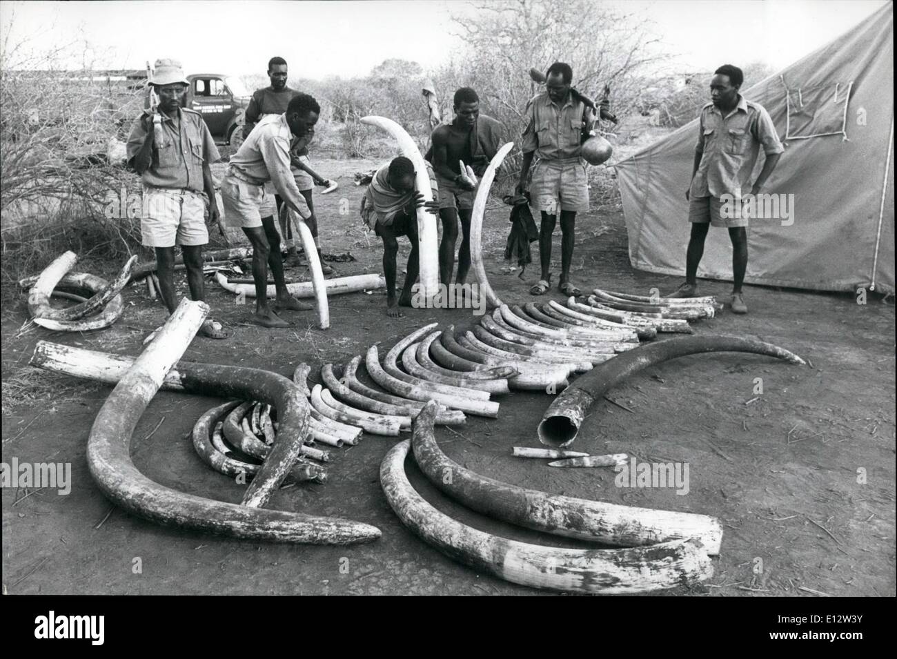Fighting poachers tsavo natl pk hi-res stock photography and images - Alamy