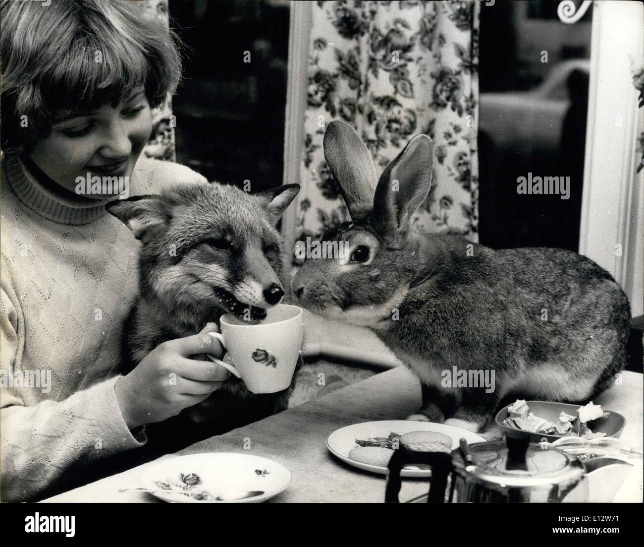 Tilehurst hi-res stock photography and images - Alamy