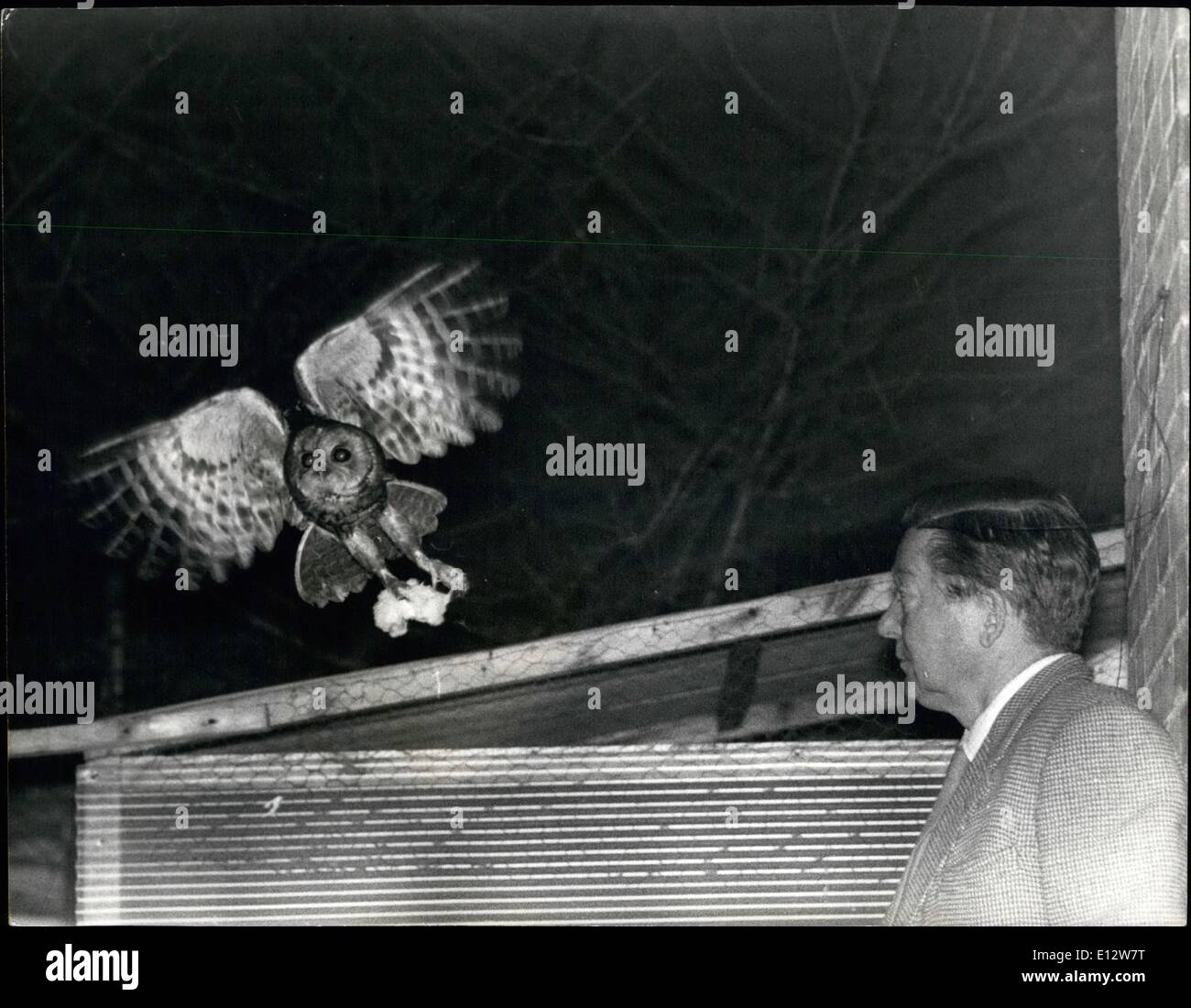 Feb. 25, 2012 - Caught by the camera - owl and man together. Many ...