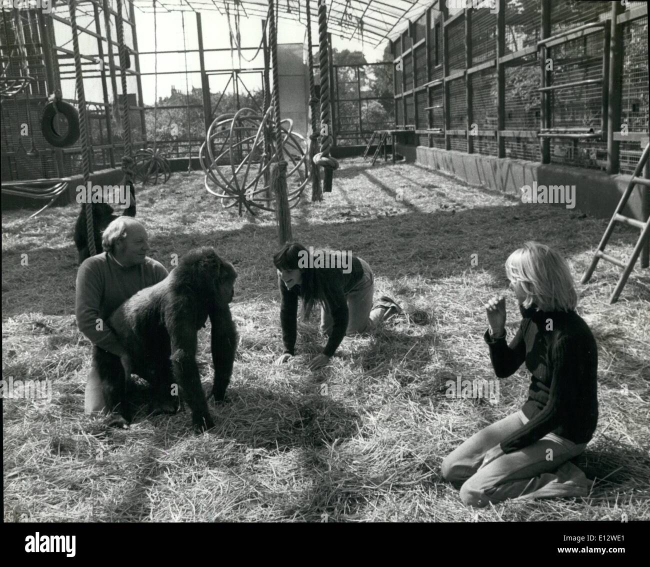 Howletts mansion hi-res stock photography and images - Alamy