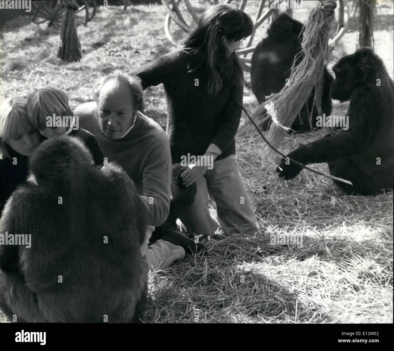 Howletts mansion hi-res stock photography and images - Alamy