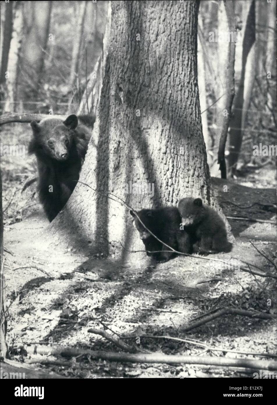 Ma pa bear hi-res stock photography and images - Alamy