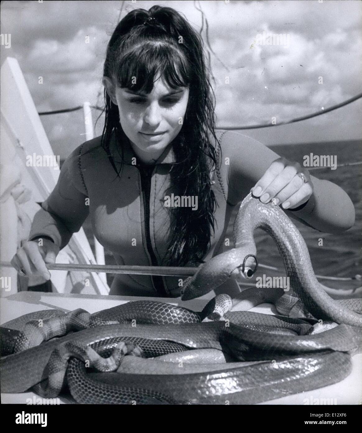 Feb. 25, 2012 - Shark Hunters or Whale of a shark. Eva Papp inspects ...