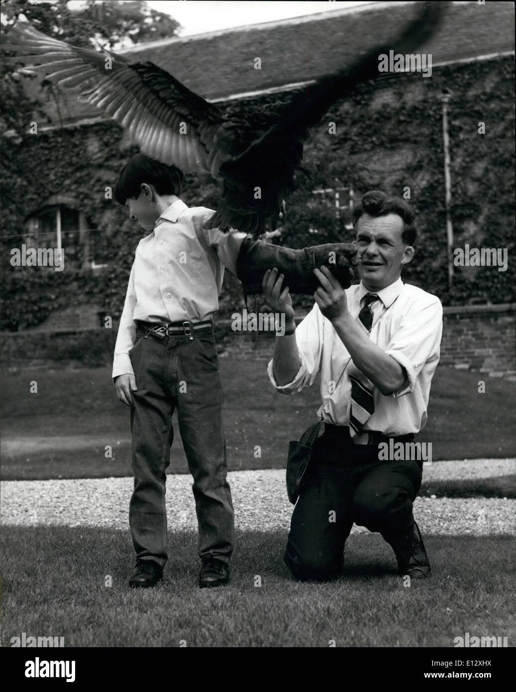 First year eagle hi-res stock photography and images - Alamy