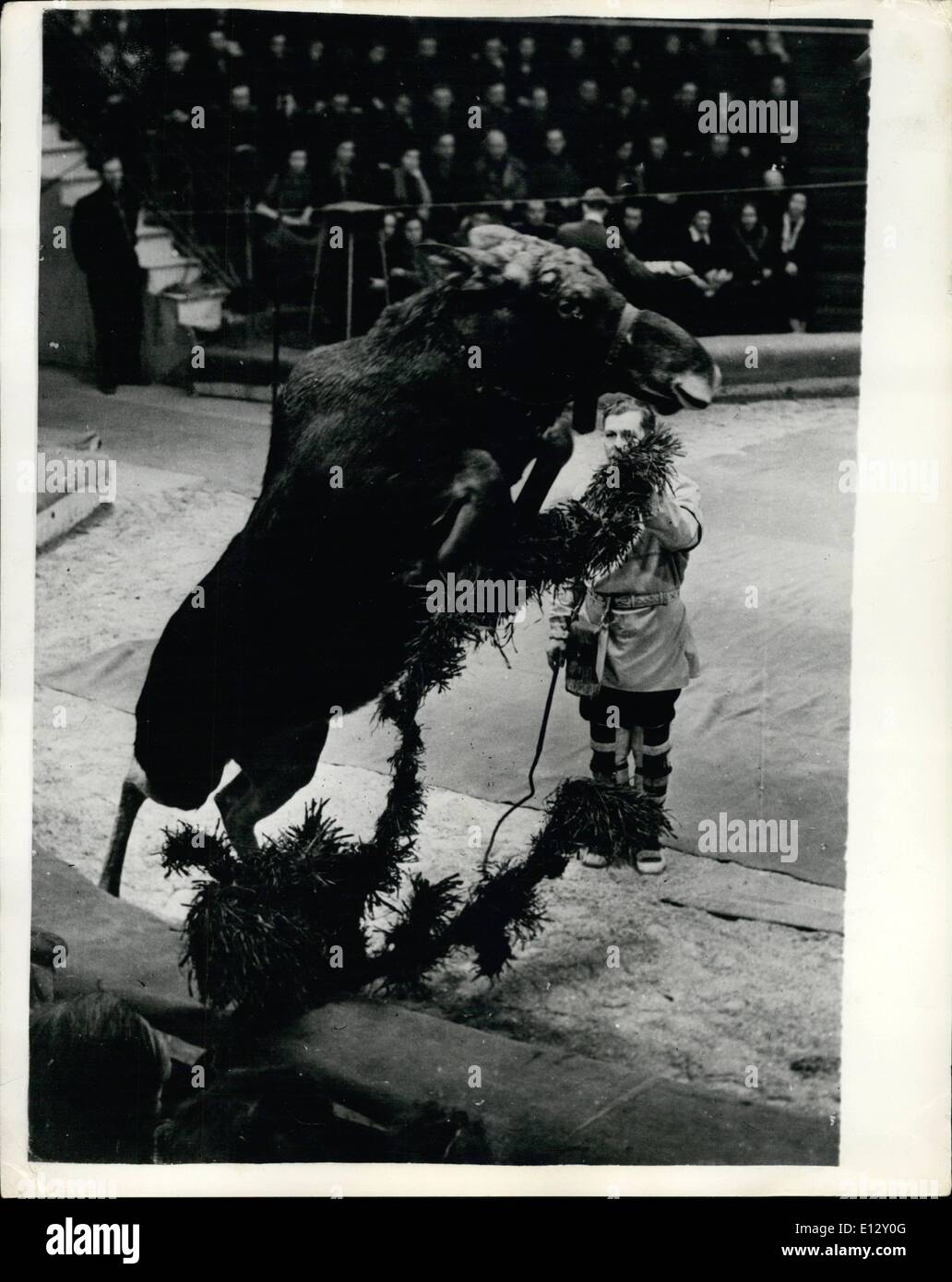 Feb. 26, 2012 - Unusual act in a Moscow Circus. An Elk in the ring ...