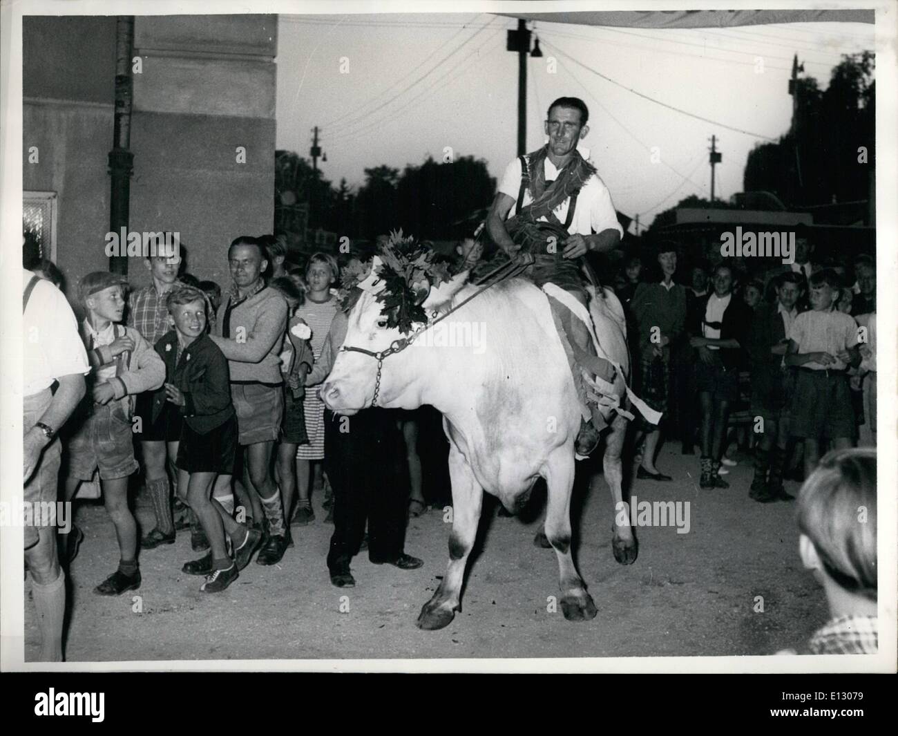 Race of oxen hi-res stock photography and images - Alamy