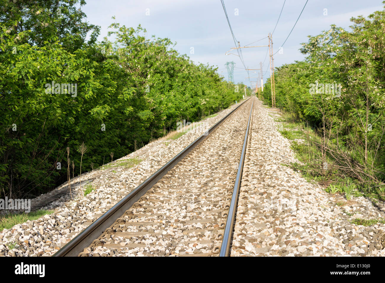 Railroad with trees hi-res stock photography and images - Alamy