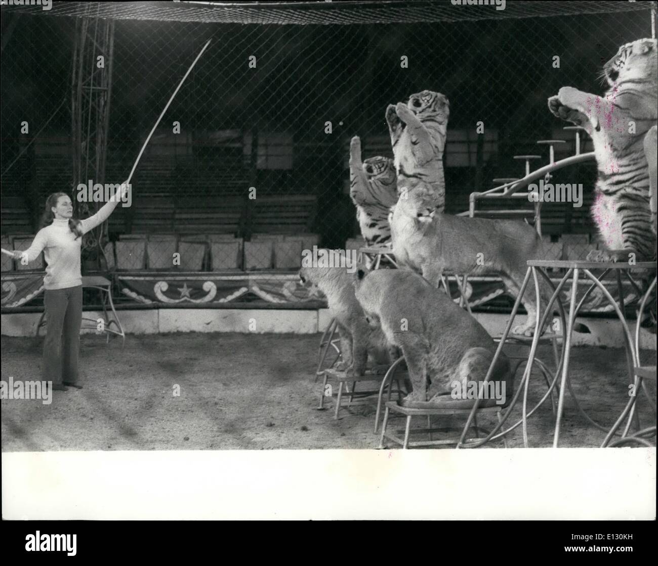 Feb. 26, 2012 - Mary's Circus is back in town:' Chipperfield's' is for ...