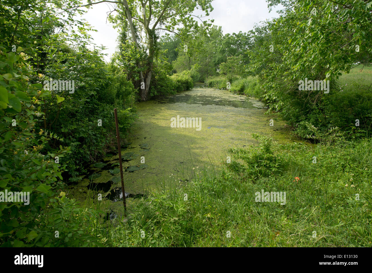 Little Rocky Creek, site of Texas pioneer Sam Houston's 1854 baptism ...