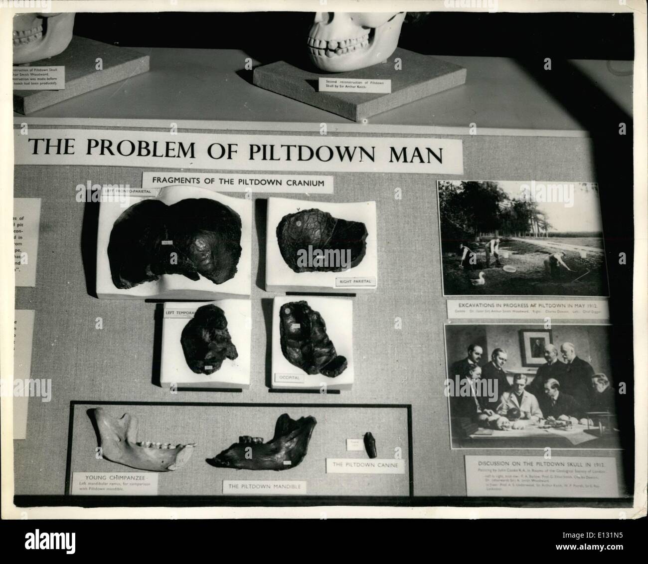 Piltdown man hi-res stock photography and images - Alamy