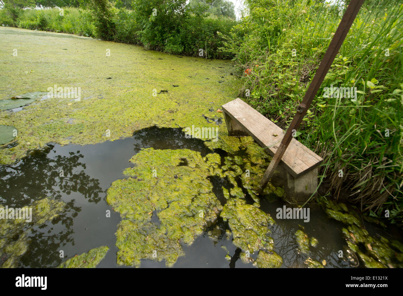 Little Rocky Creek, site of Texas pioneer Sam Houston's 1854 baptism ...